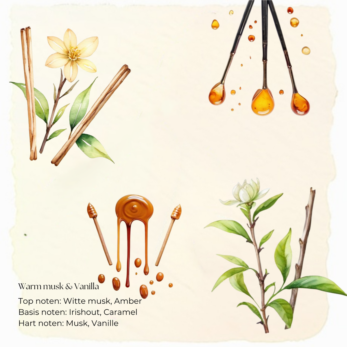 Warm Musk & Vanilla kaars | Handgemaakt | Kristallen – Scentwl